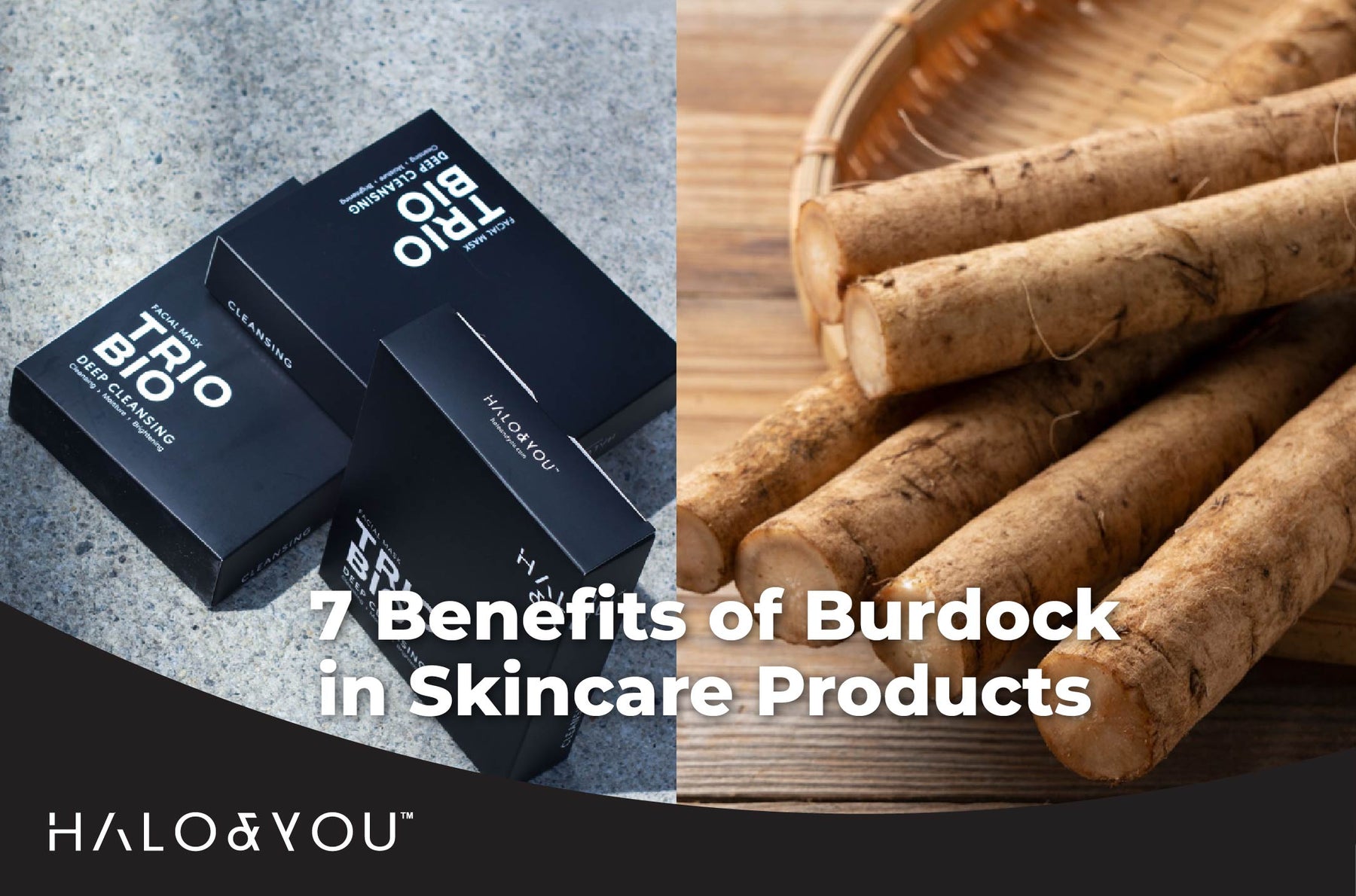 7 Benefits of Burdock in Skincare Products | Halo and You | Halo and You